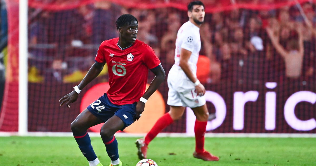 Amadou Onana, le Belge qui grimpe au LOSC… avant les Diables rouges et ...