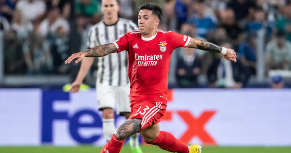 Enzo Fernandez, het goudhaantje van Benfica waar PSG op aasde