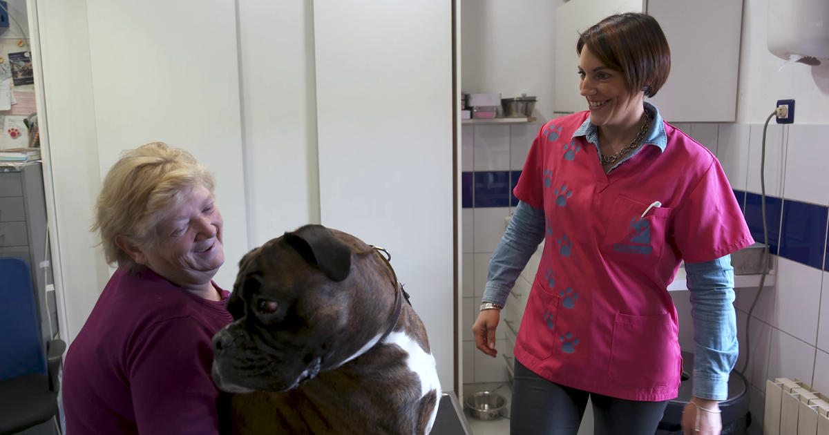 ‘Véto and Co’ débarque avec une nouvelle saison exclusive sur RTL TVI